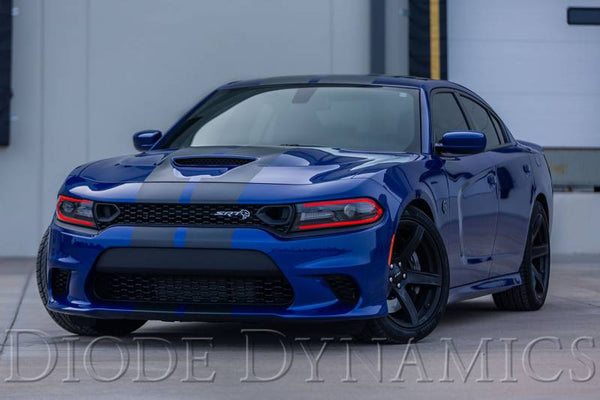 Diode Dynamics 2019-2020 Dodge Charger Multicolor LED Boards DD2282 ...
